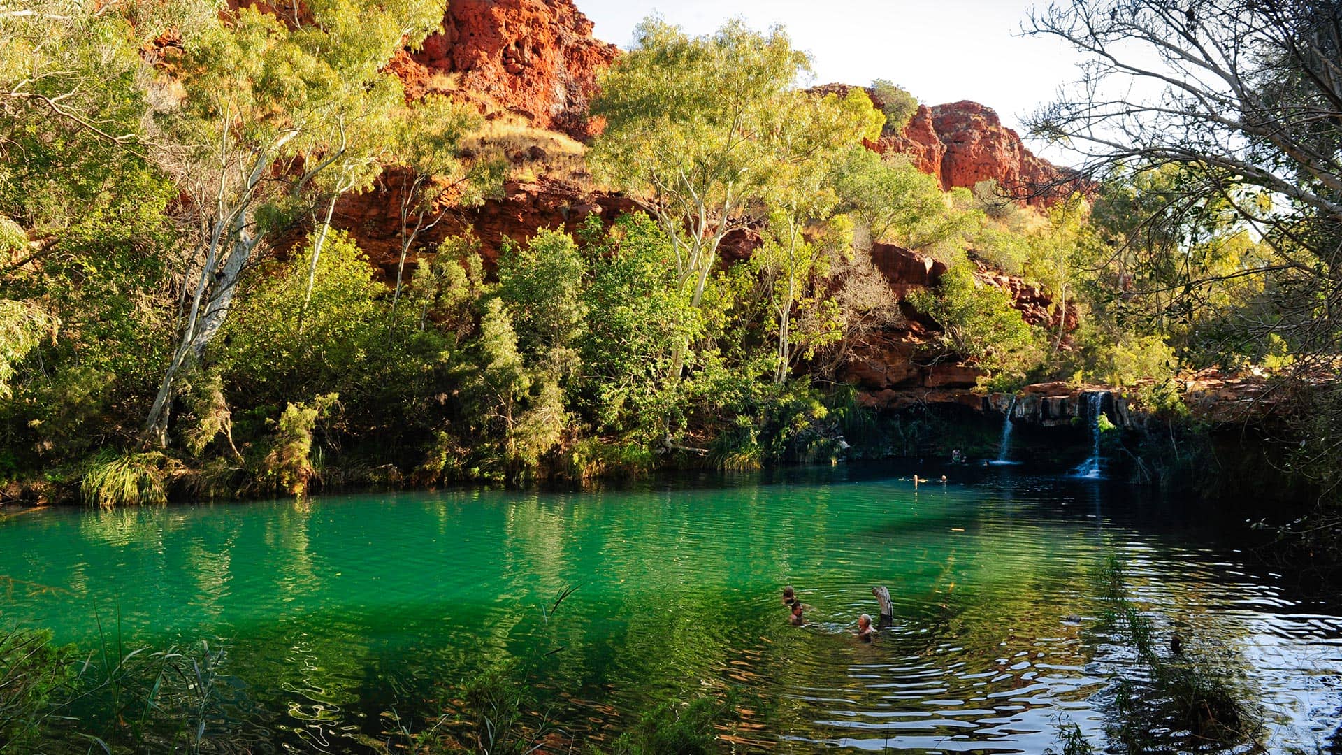 Pilbara & West Coast Expedition 2025