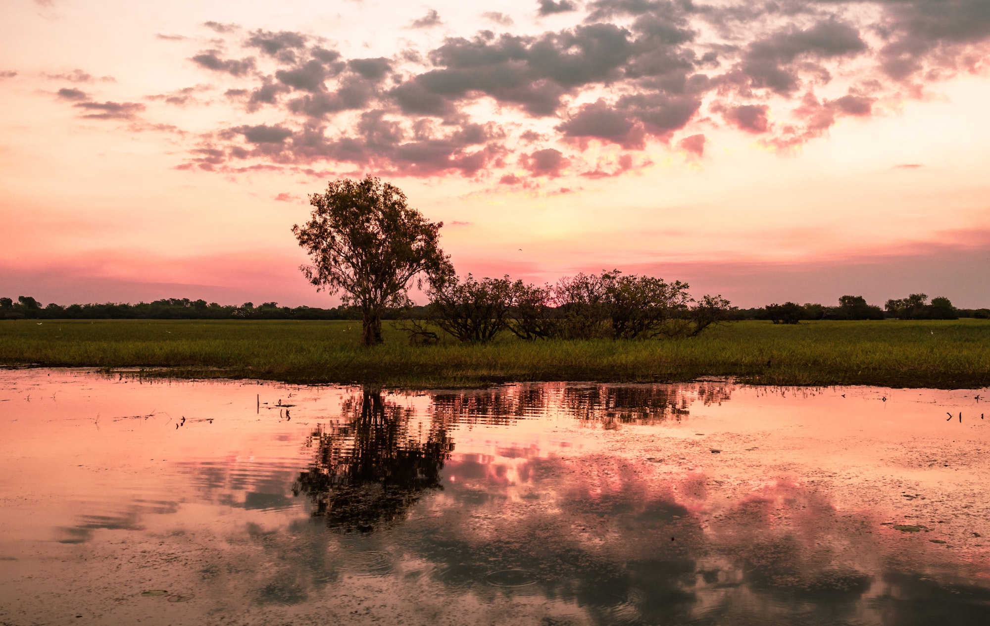 TOP END EXPLORER 2025