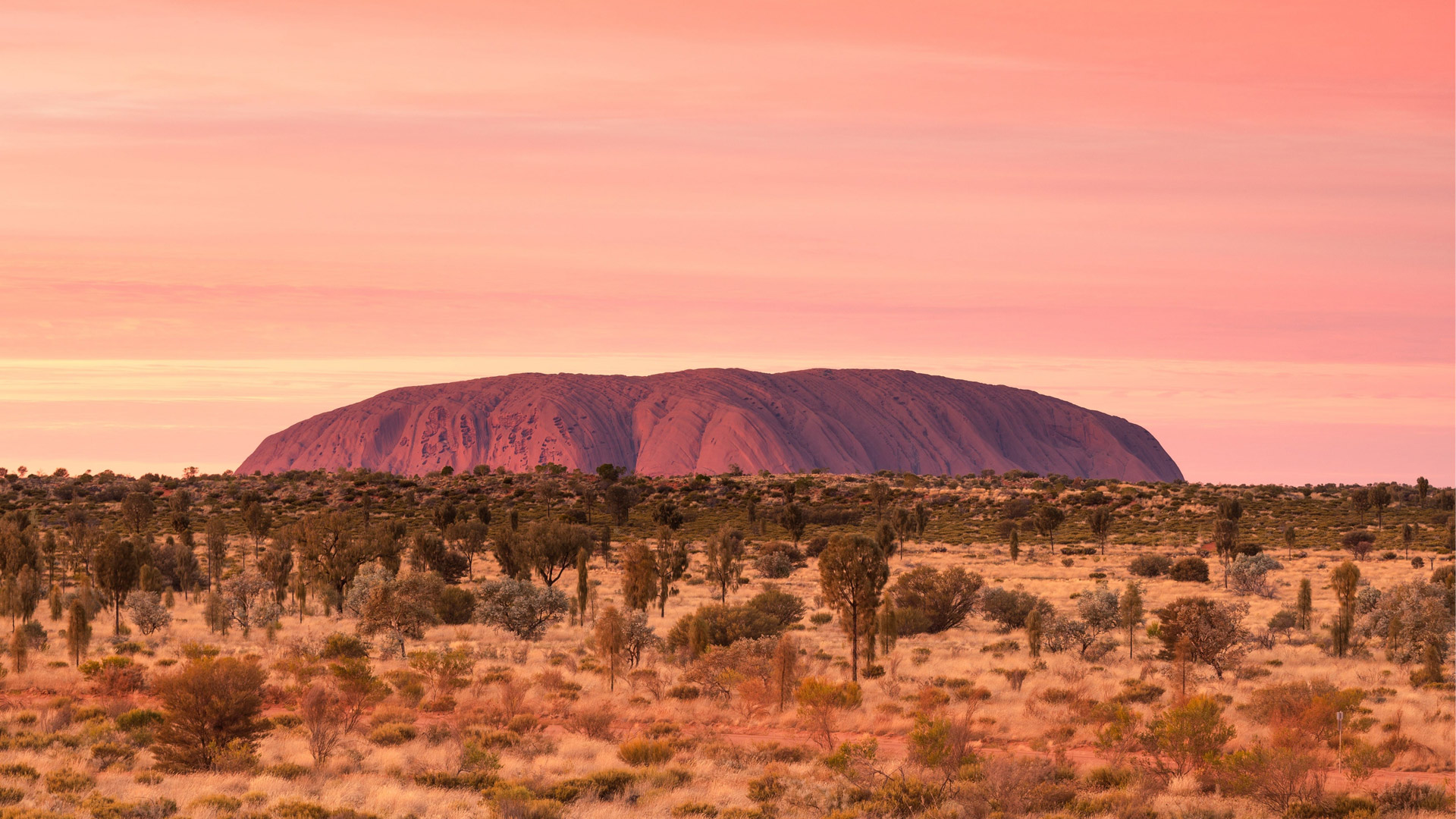 Outback Spirit - Central Australia & Corner Country - Aussie Trains