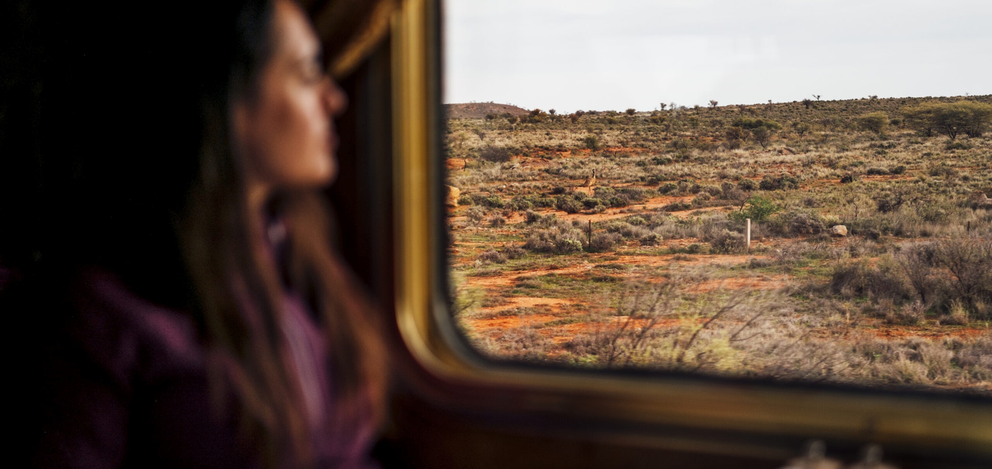 The Ghan Expedition & Indian Pacific - Darwin to Sydney 2026